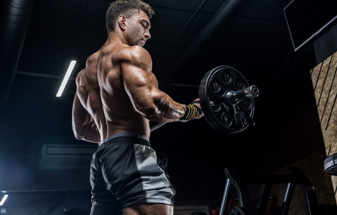 Fase De Volumen Muscular -Goldnutricion.es